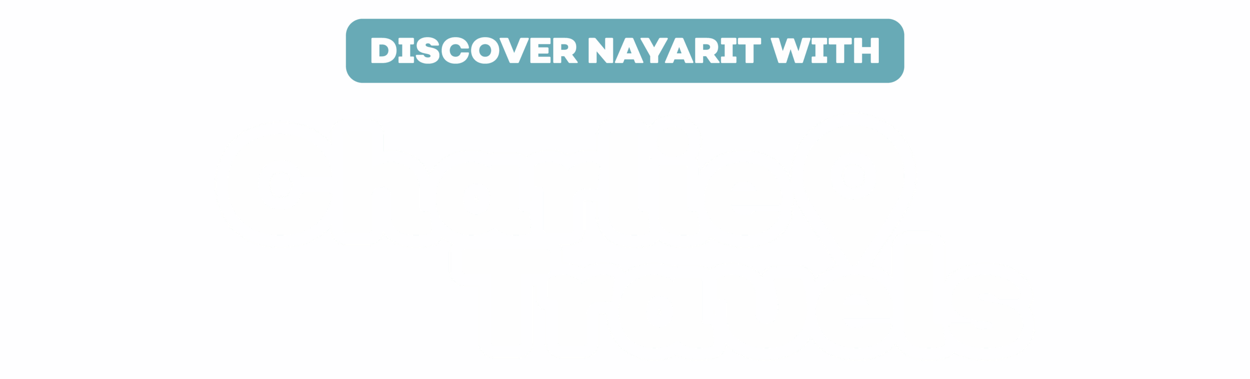 Charlie travels | Blog - Visit Nayarit