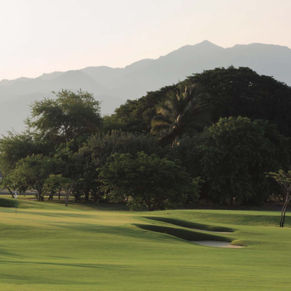 Golf Courses in Nayarit - Visit Nayarit