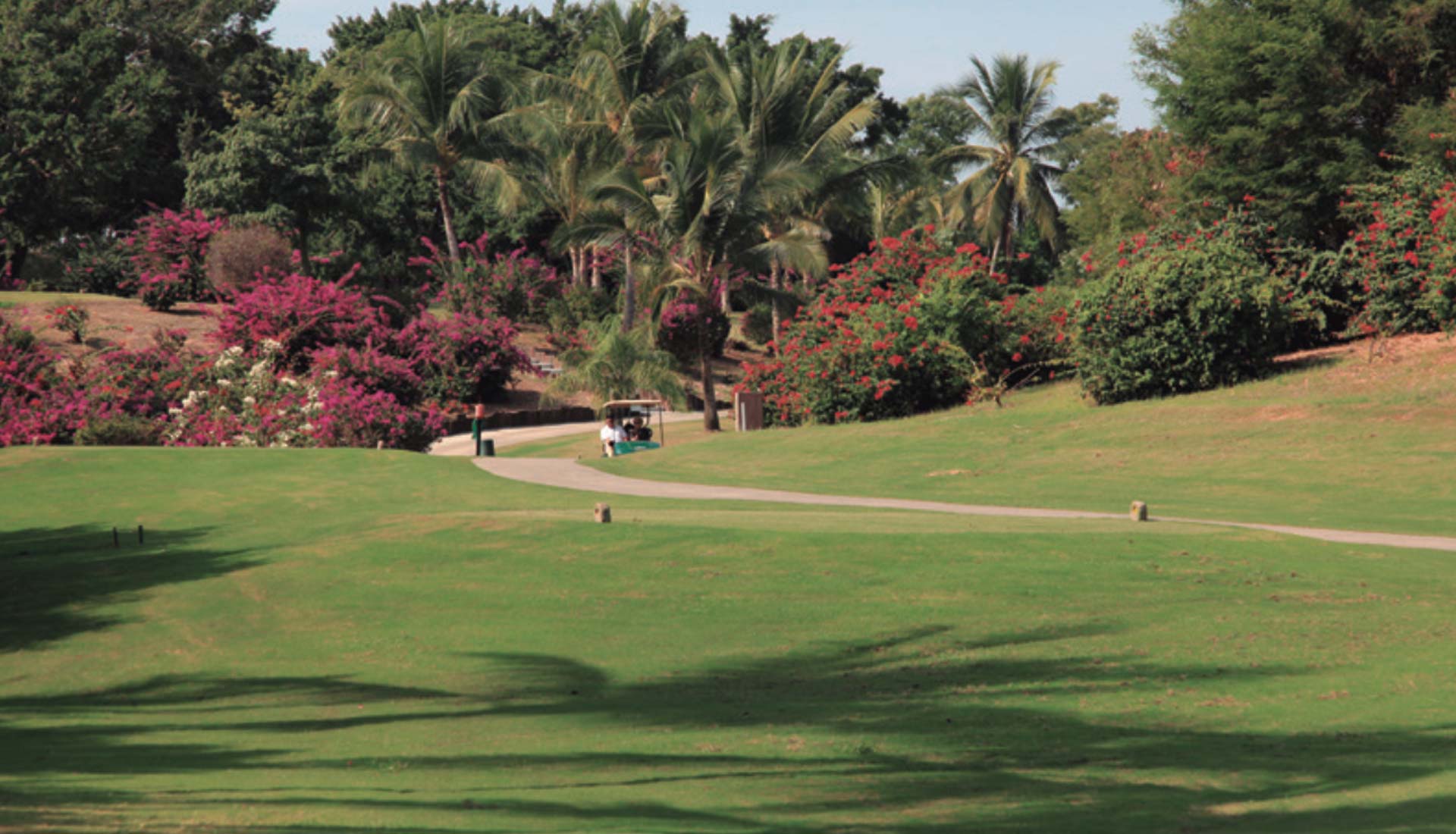 Flamingos Golf Course - Visit Nayarit